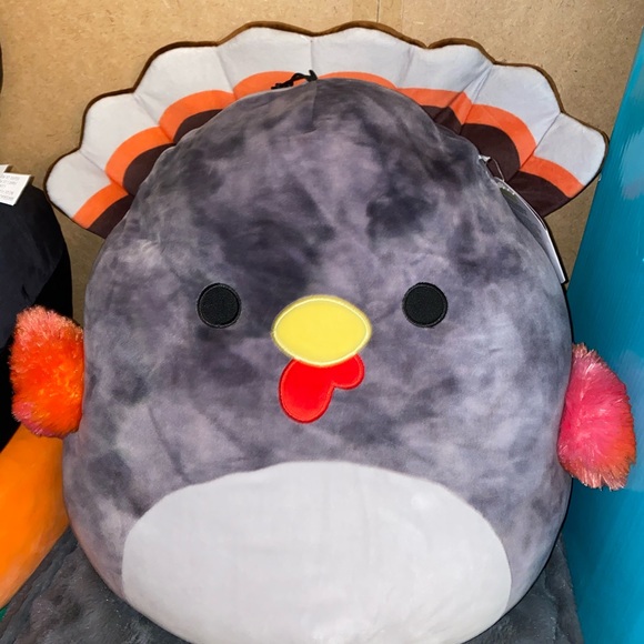 Squishmallows | Toys | Squishmallow Terry Turkey6 Bnwt | Poshmark